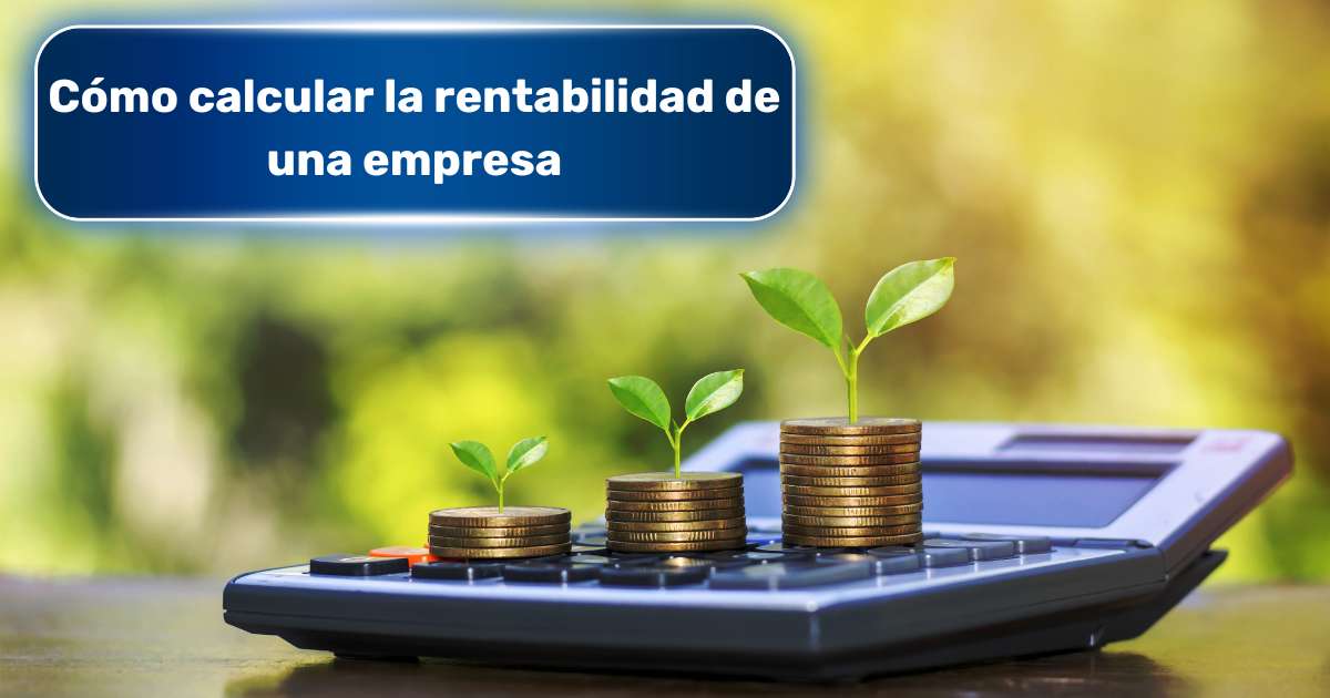 Cómo calcular la rentabilidad de una empresa - Bind ERP
